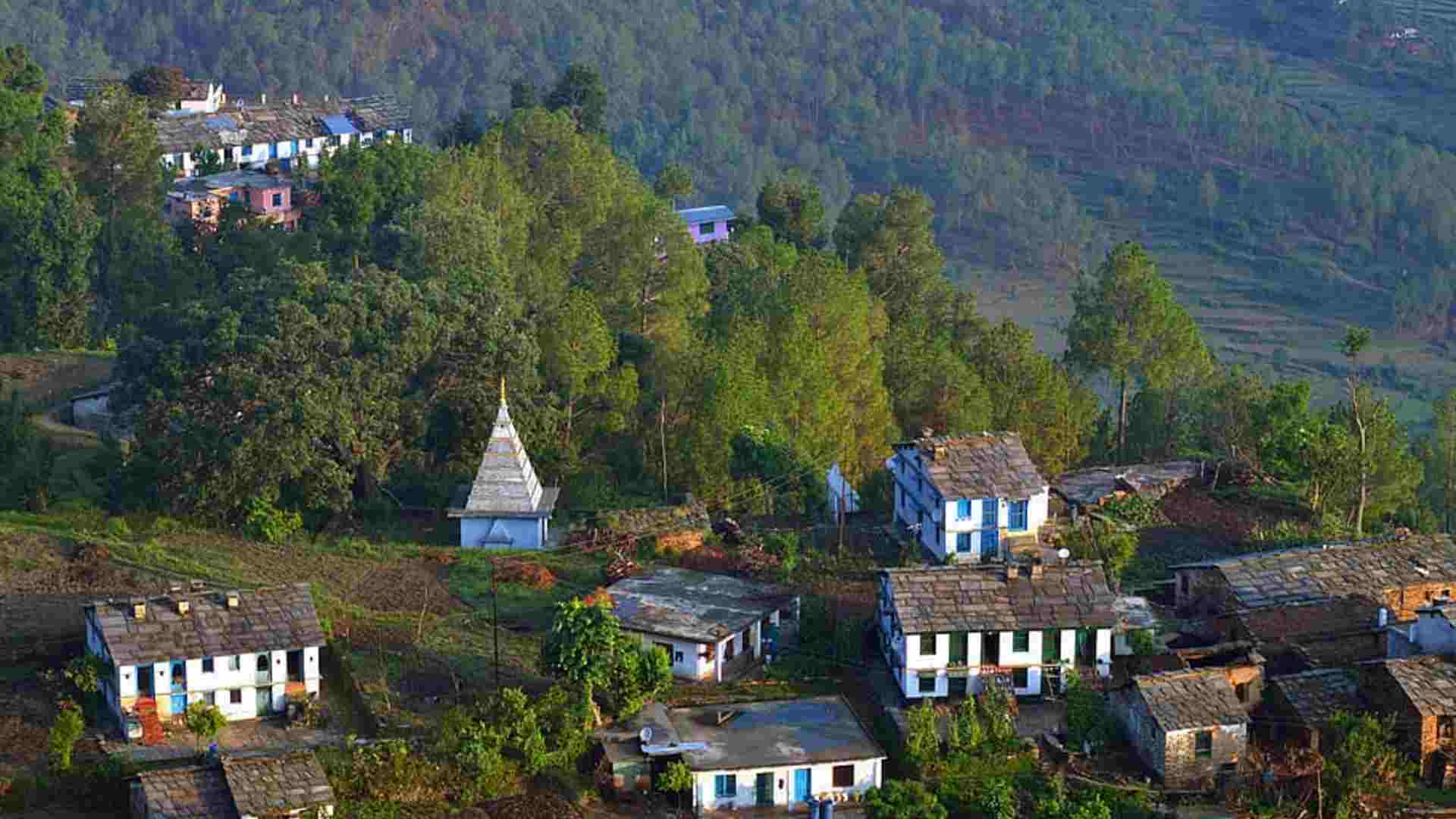 Binsar Hill Station: Top Tourist Places & Things to Do in Binsar ...